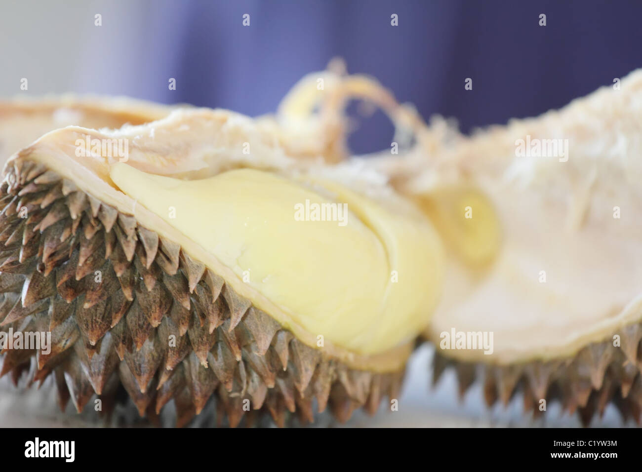 Open durian hi-res stock photography and images - Alamy
