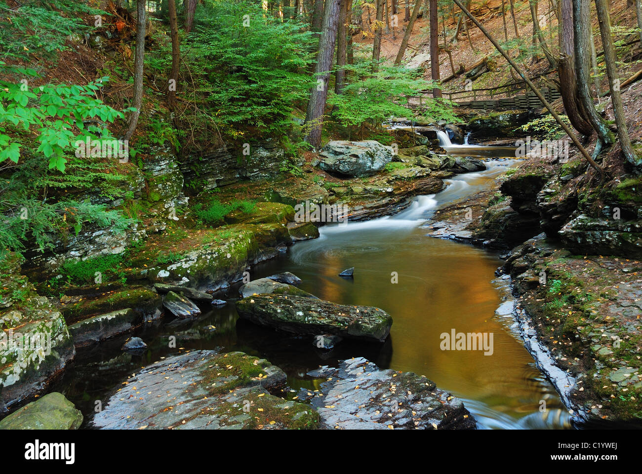 Creek with rocks and bridge in forest Stock Photo - Alamy