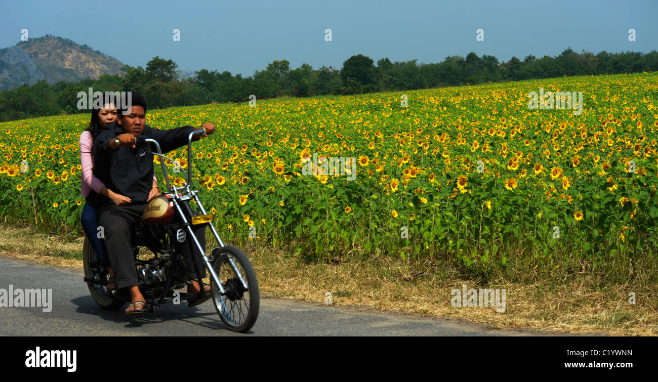 Chopper bike hi-res stock photography and images - Alamy