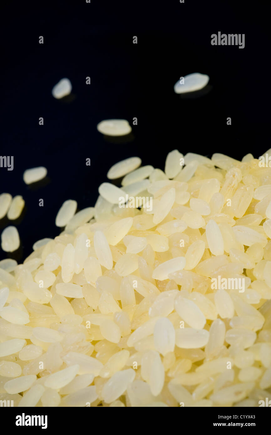 Rice studio isolated on black background Stock Photo - Alamy