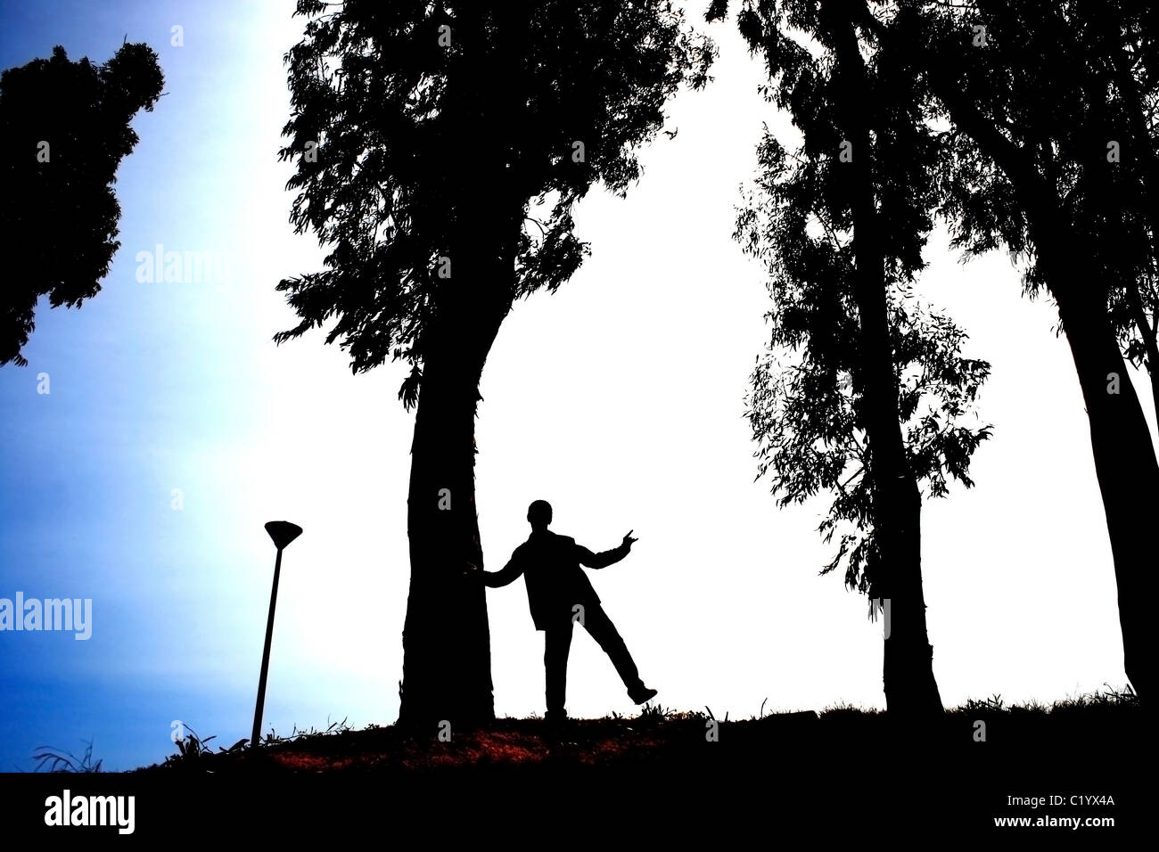 Silhouette of boy,trees and lamp Stock Photo - Alamy