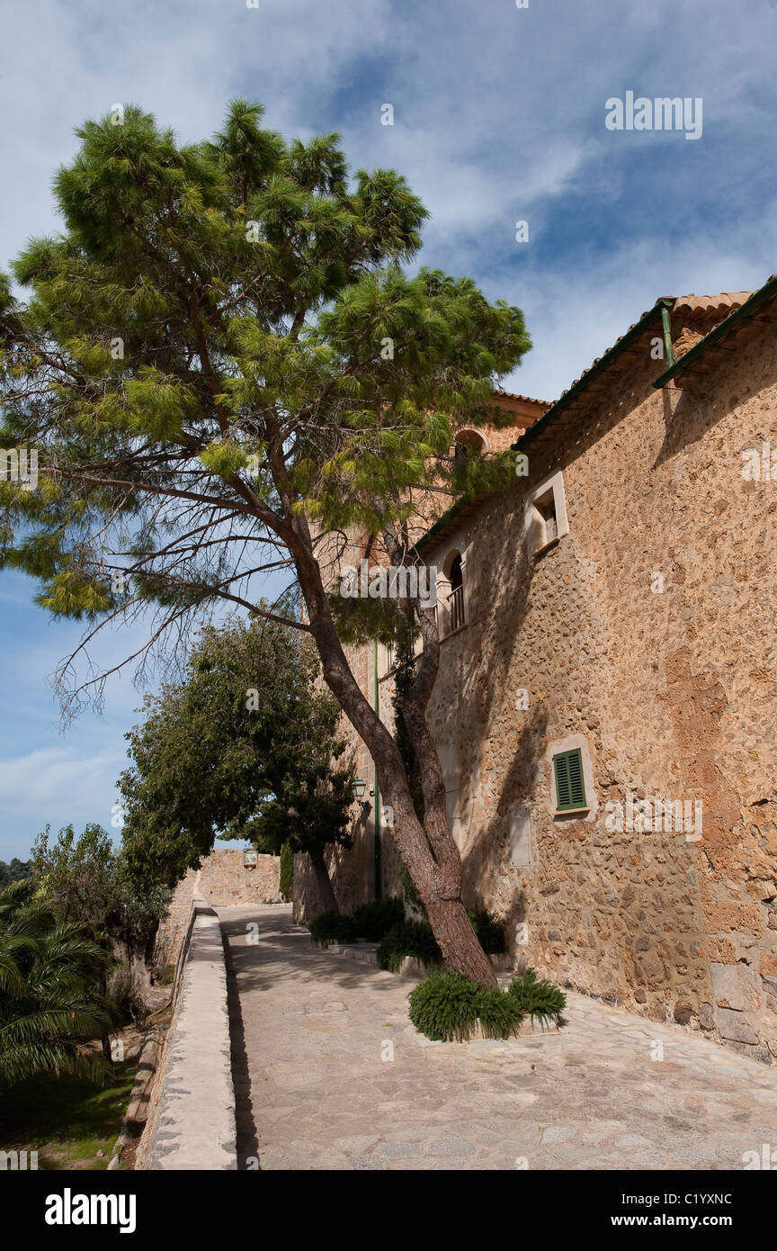 Tree growing at an angle by a typical Spanish building in Mallorca ...
