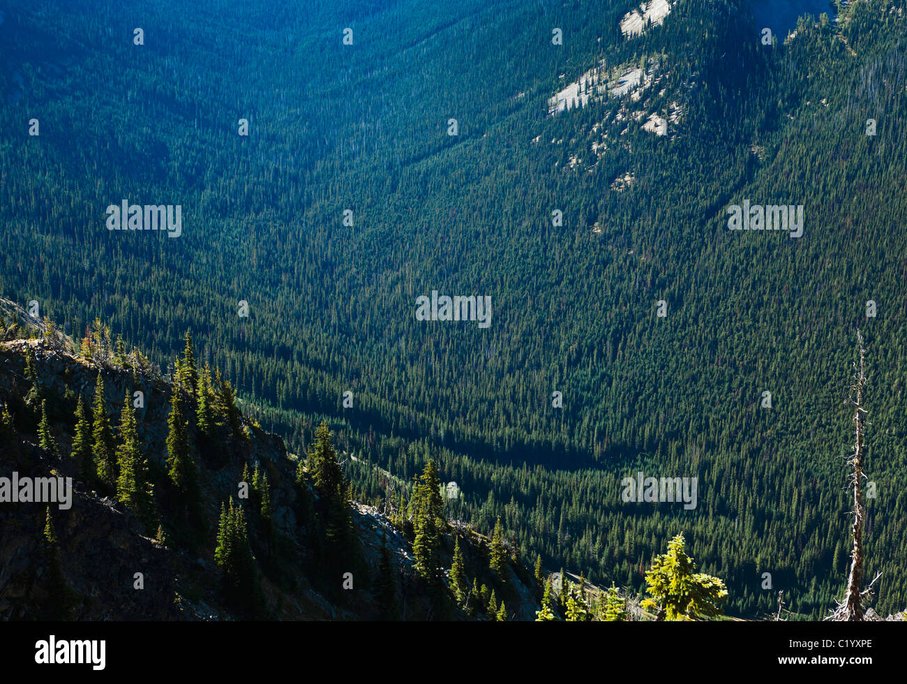 Cascades mountains hi-res stock photography and images - Alamy