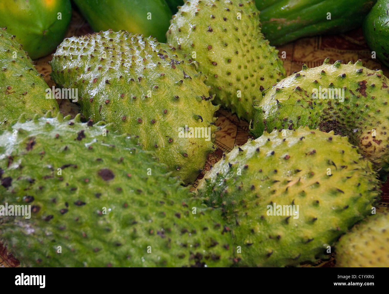 Tropical Fruit Seychelles Stock Photos & Tropical Fruit Seychelles ...