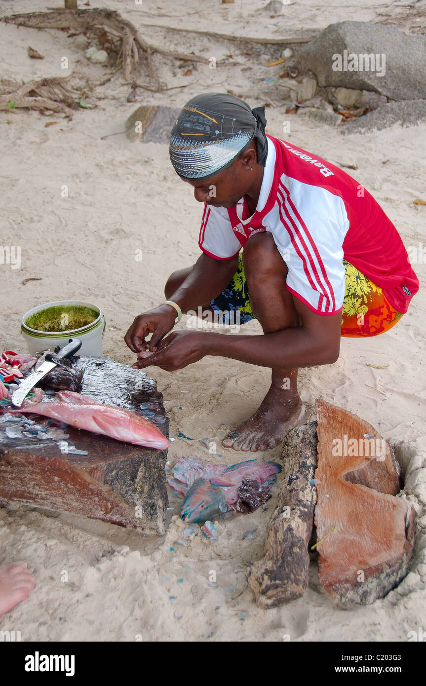 Seychelles man hi-res stock photography and images - Alamy