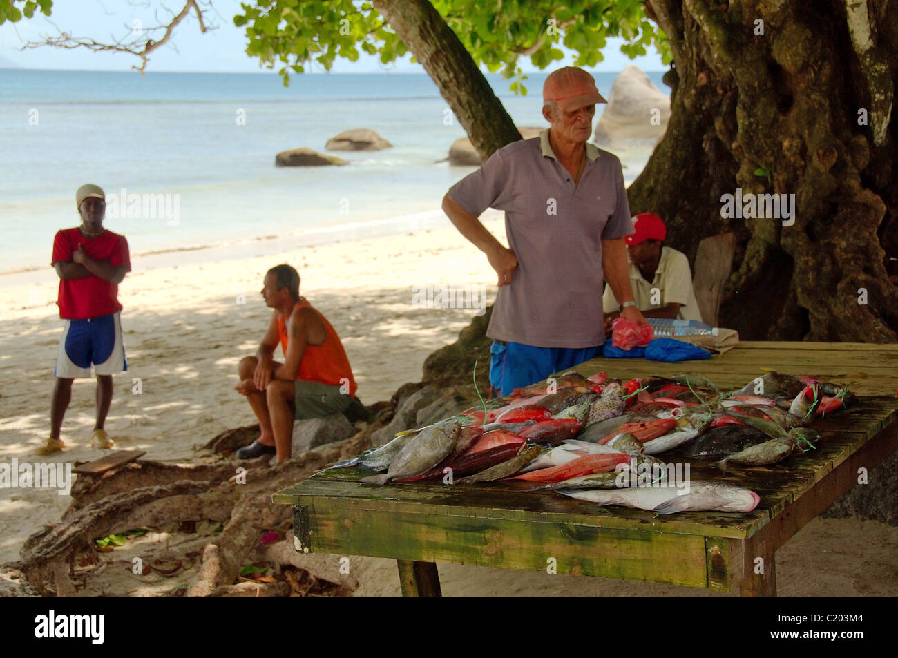 Seychelles man hi-res stock photography and images - Alamy