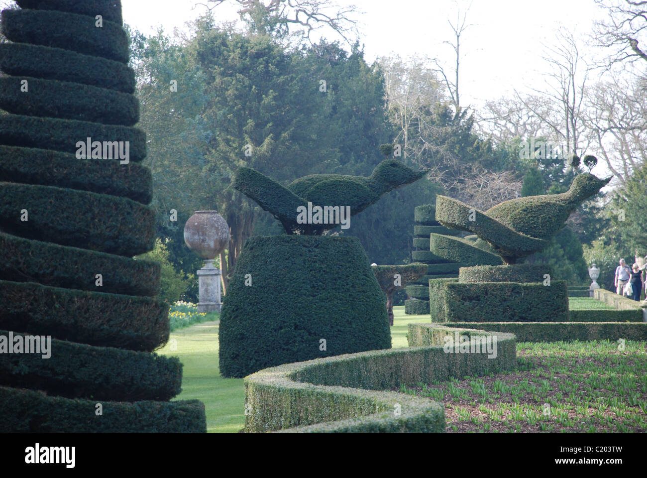Peacock topiary hi-res stock photography and images - Alamy