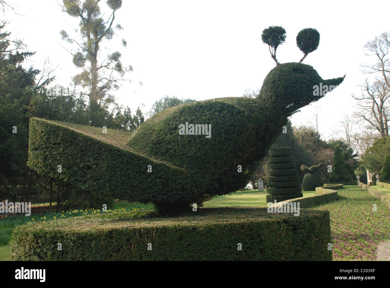 Peacock topiary hi-res stock photography and images - Alamy