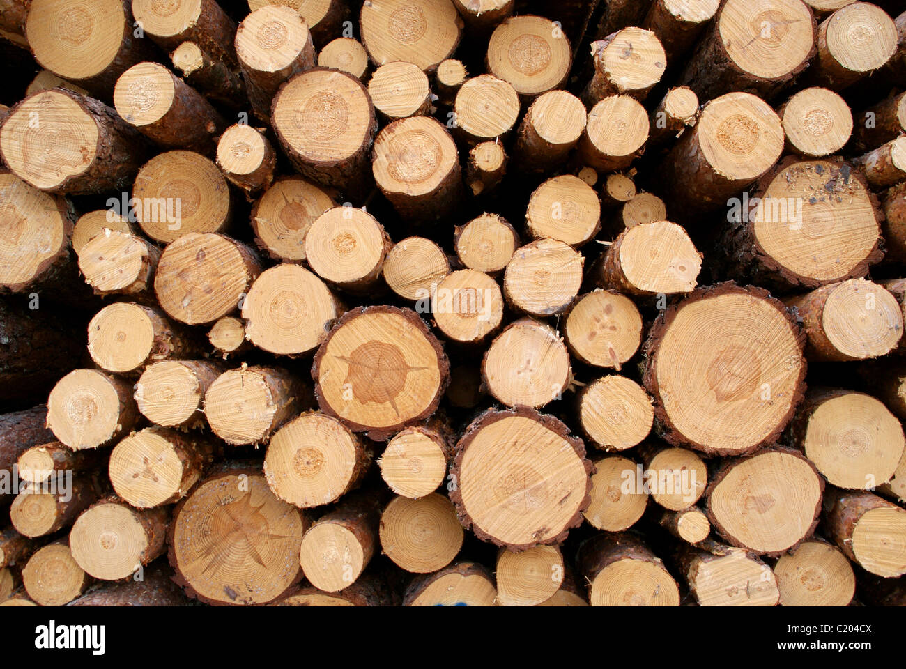 Pine Logs Background Stock Photo - Alamy