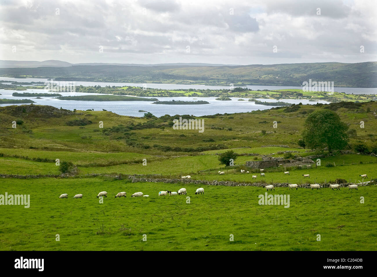 Landscape in Joyce's Country Ireland Stock Photo - Alamy