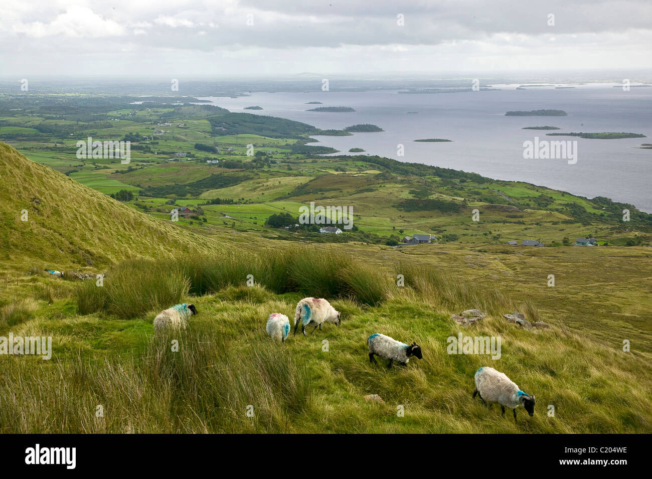 Joyce's country hi-res stock photography and images - Alamy