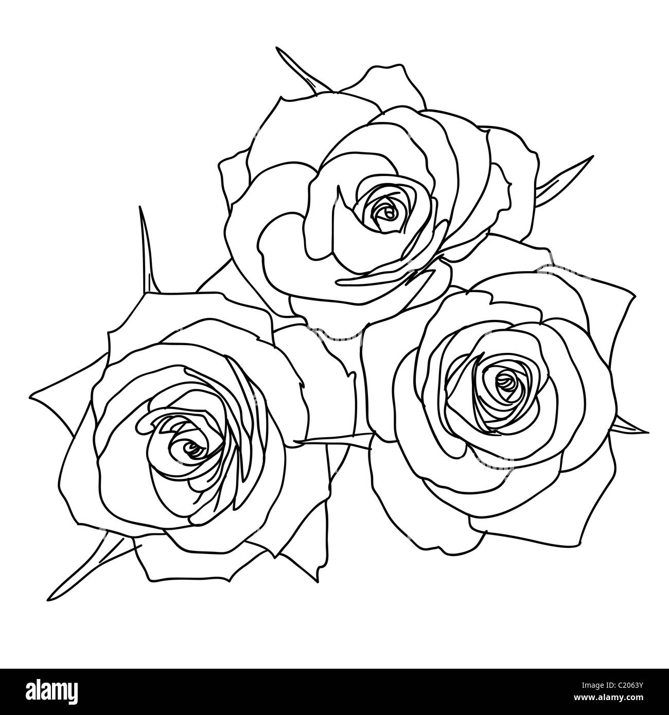 Three Roses in hand drawn style Stock Photo - Alamy