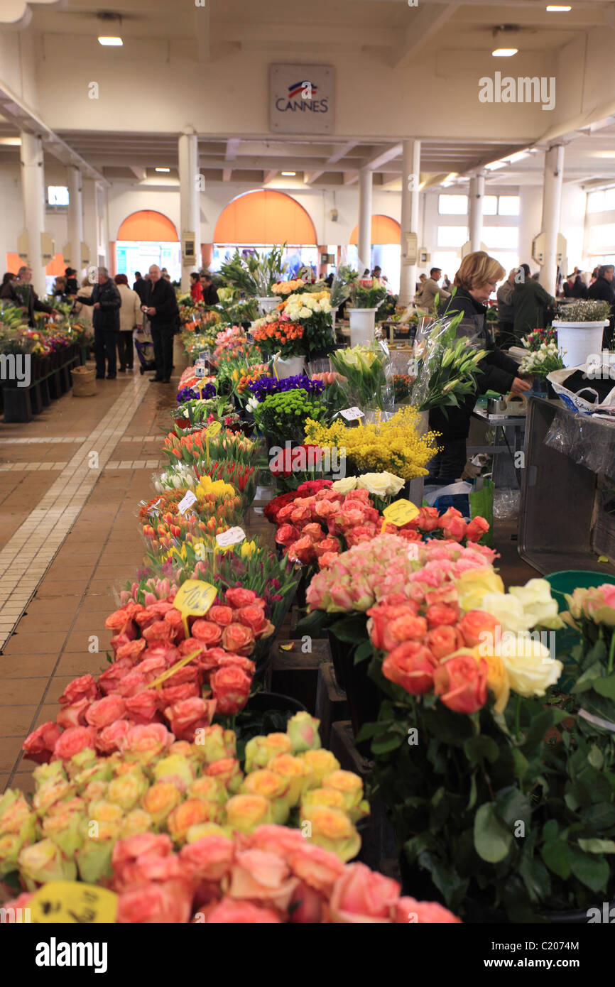 The popular covered market of Cannes Forville Stock Photo - Alamy