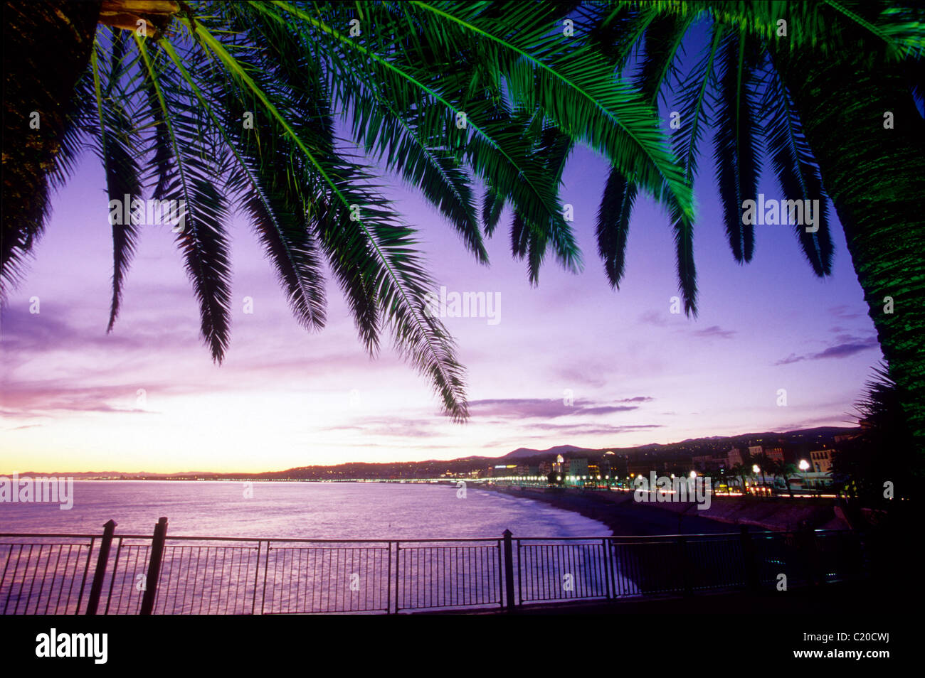 Sunset above the sea in Nice with the illuminated palm tree Stock Photo ...