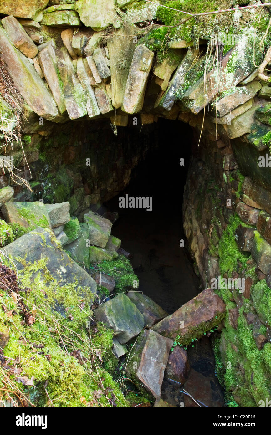 The entrance to the abandoned Harehope Gill lead mine near the Weardale ...