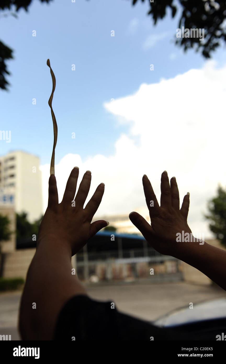 Extra-long nail Chinaman Ziy Wang as an odd appendage - one extra long ...