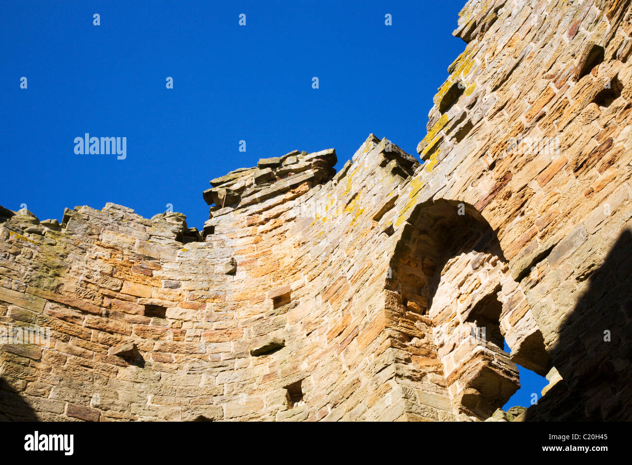 Hackfall woods hi-res stock photography and images - Alamy