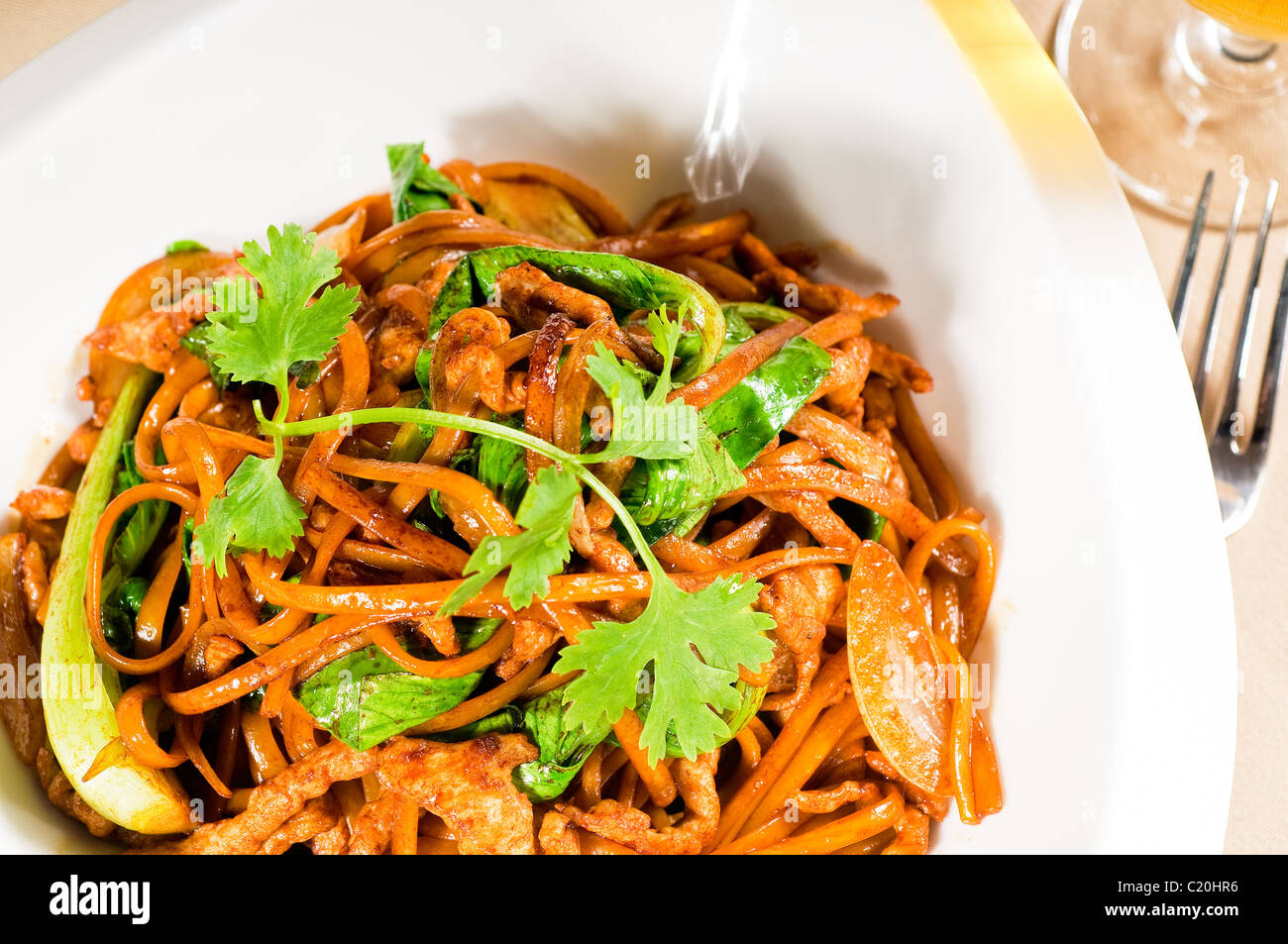 classic fresh chinese fried noodles with pork and vegetables and ...