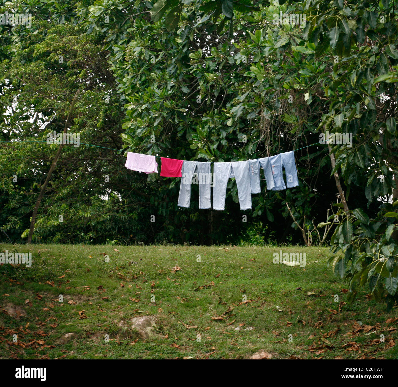 Laundry drying on a clothesline Stock Photo - Alamy