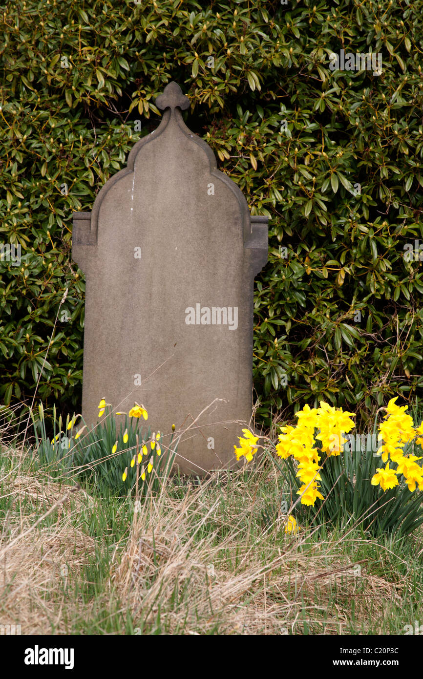 Daffodils in cemetery hi-res stock photography and images - Alamy