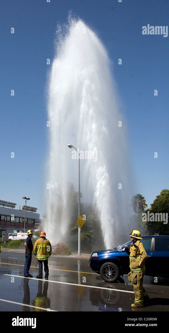 A driver was more than flushed with embarassment when he crashed into a ...