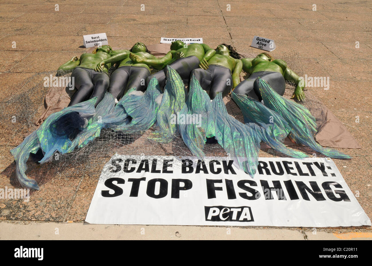 Peta Animal Rights Photo Shoot