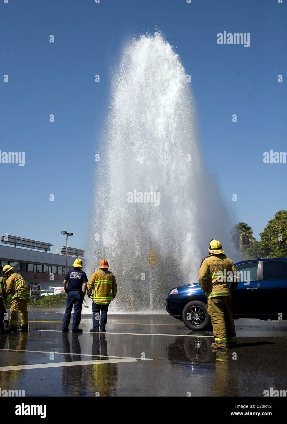 A driver was more than flushed with embarassment when he crashed into a ...