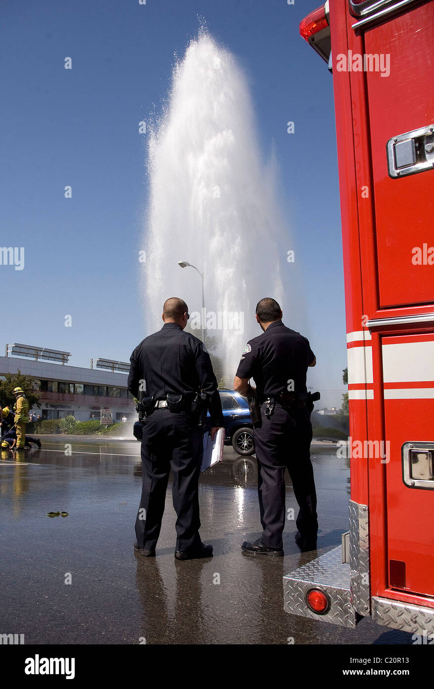A driver was more than flushed with embarassment when he crashed into a ...