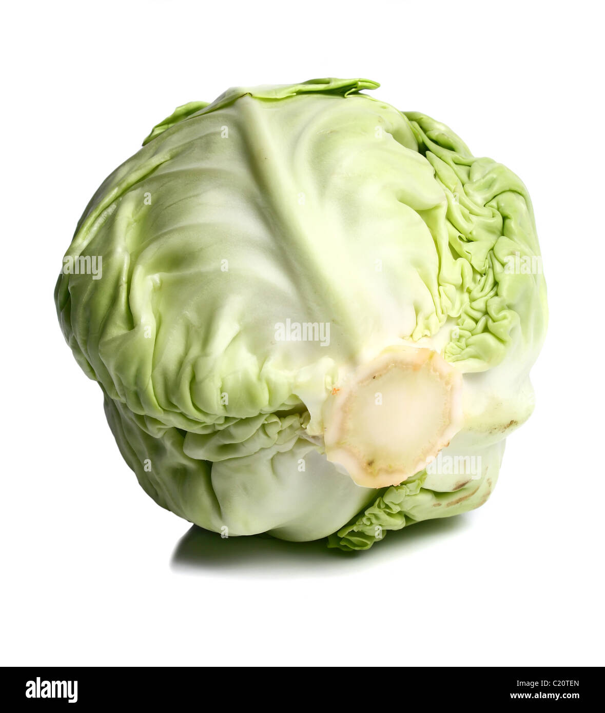cabbage isolated on white background Stock Photo - Alamy