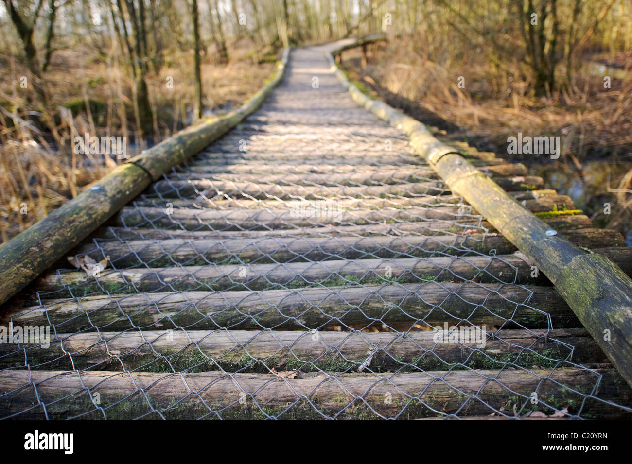 Walkboard hi-res stock photography and images - Alamy