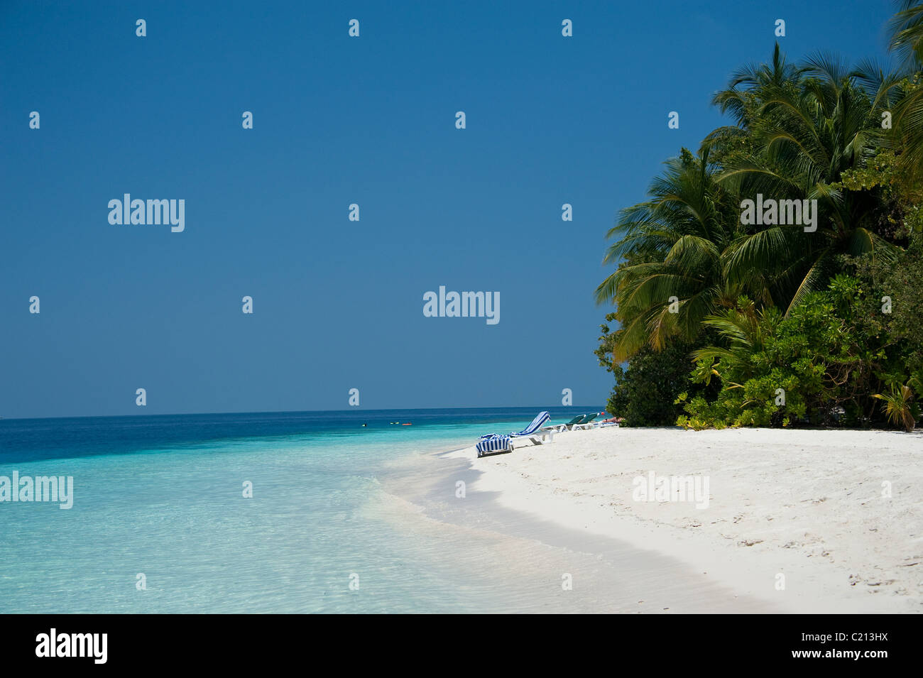 The daily commute to work, Maldives Stock Photo - Alamy