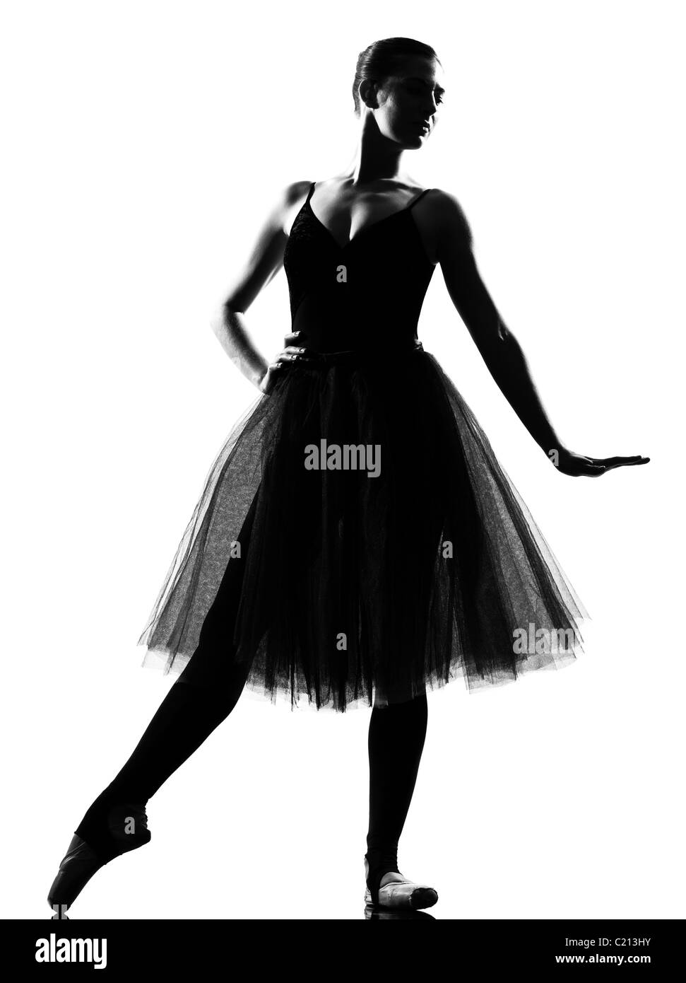 Beautiful Caucasian Tall Woman Ballet Dancer Standing Pose Full Length