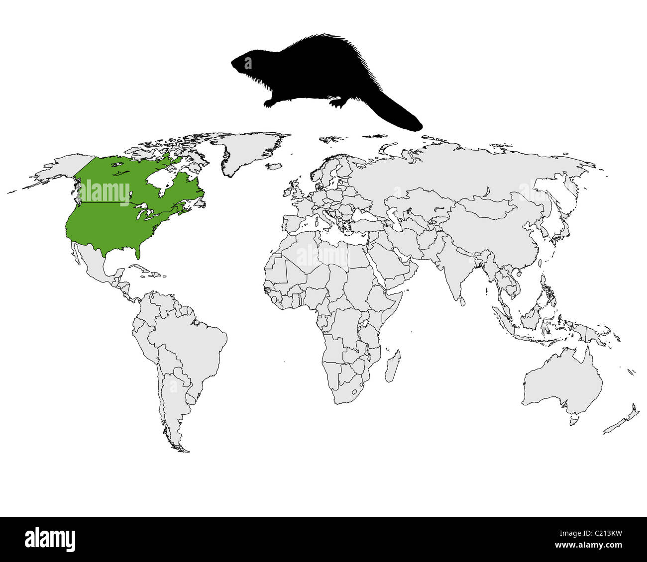 Distribution of canadian beaver Stock Photo - Alamy