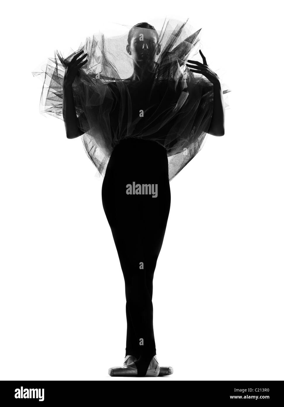 beautiful caucasian tall woman ballet dancer standing pose full length ...