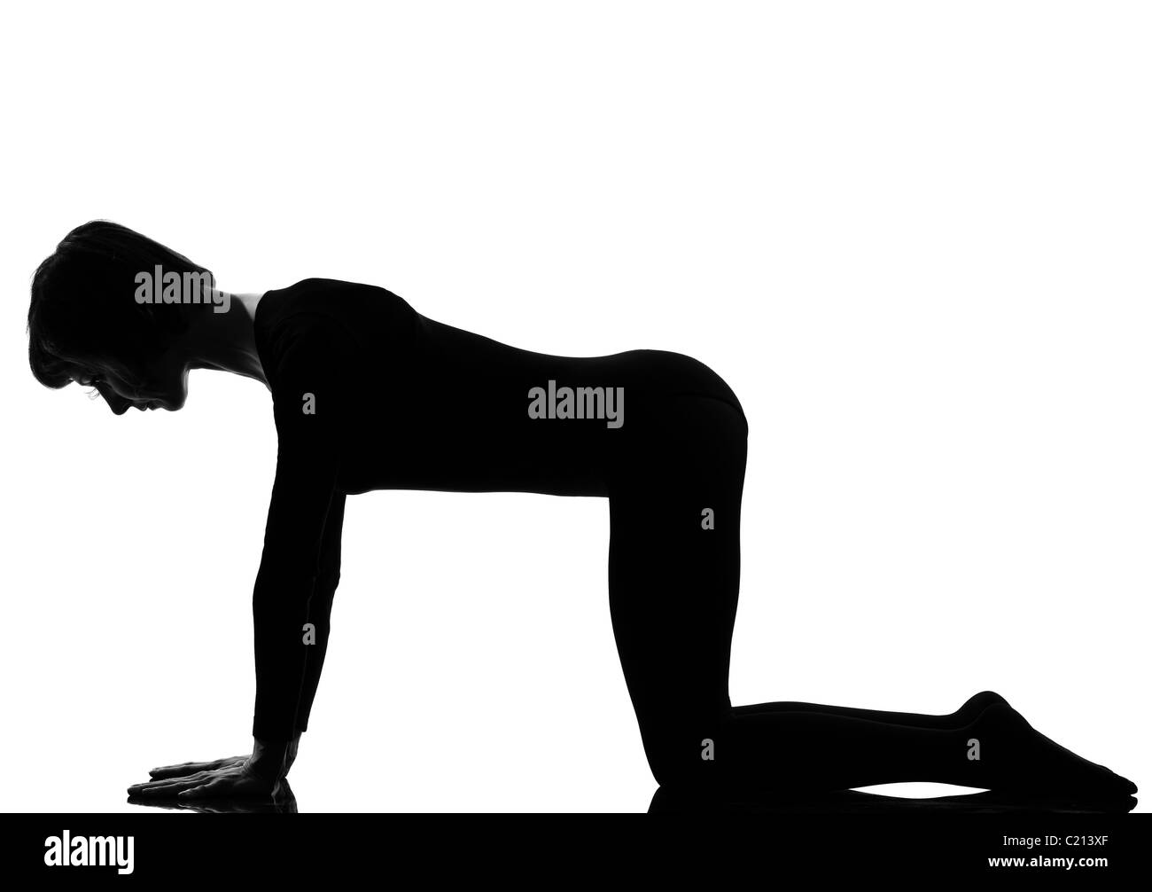 Bidalasana cat pose yoga woman posture position in silhouette on studio ...