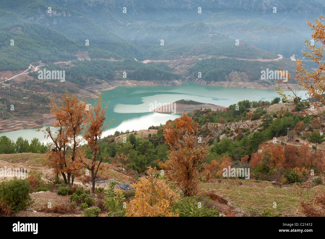Views of the azure mountain lake through the pine forest Stock Photo ...