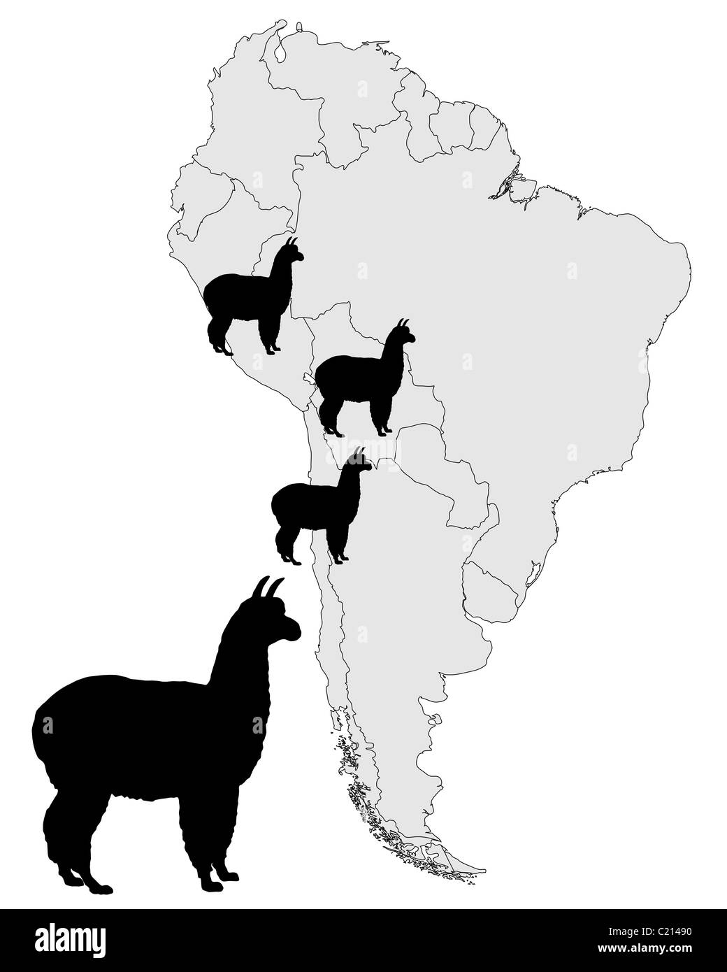 Alpaca range map Stock Photo - Alamy