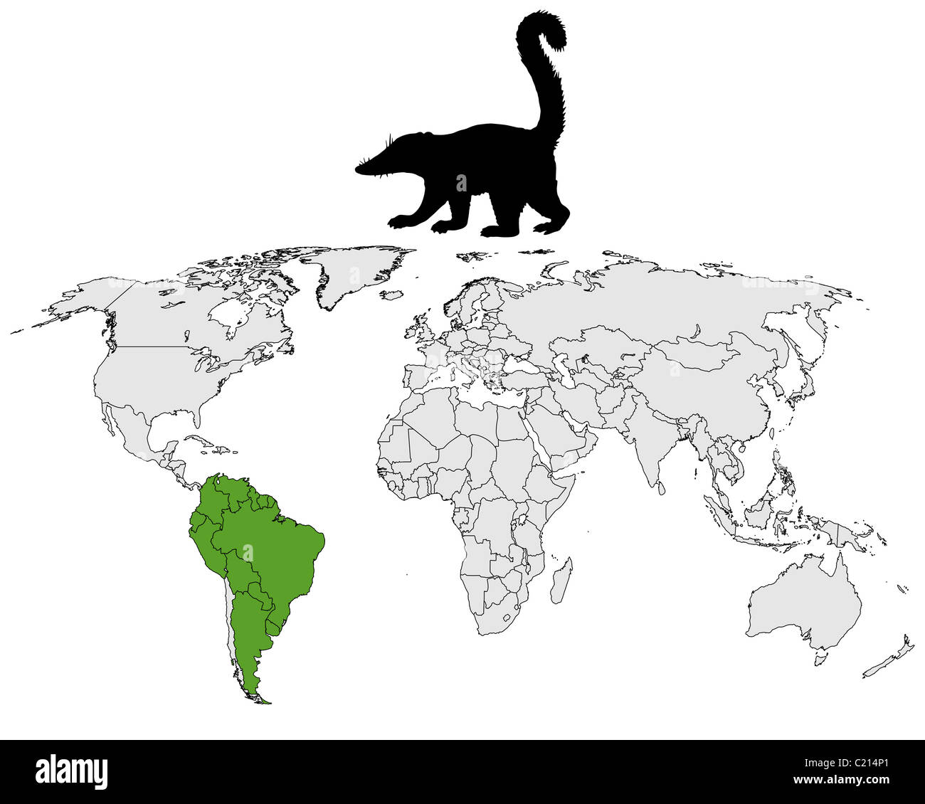 Coati distribution map hi-res stock photography and images - Alamy