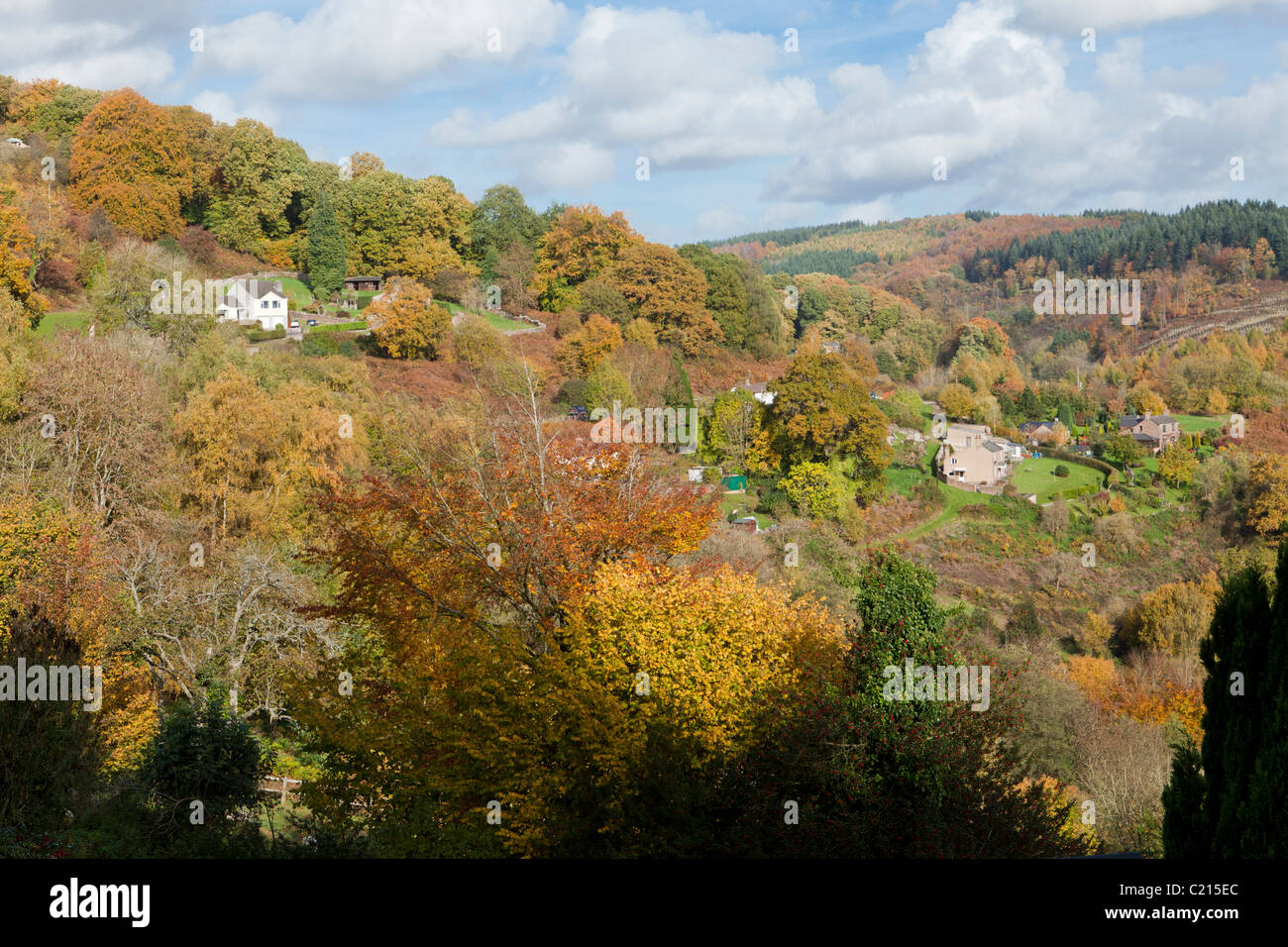 Autumn colours in the Forest of Dean at Two Bridges, south of Lower ...
