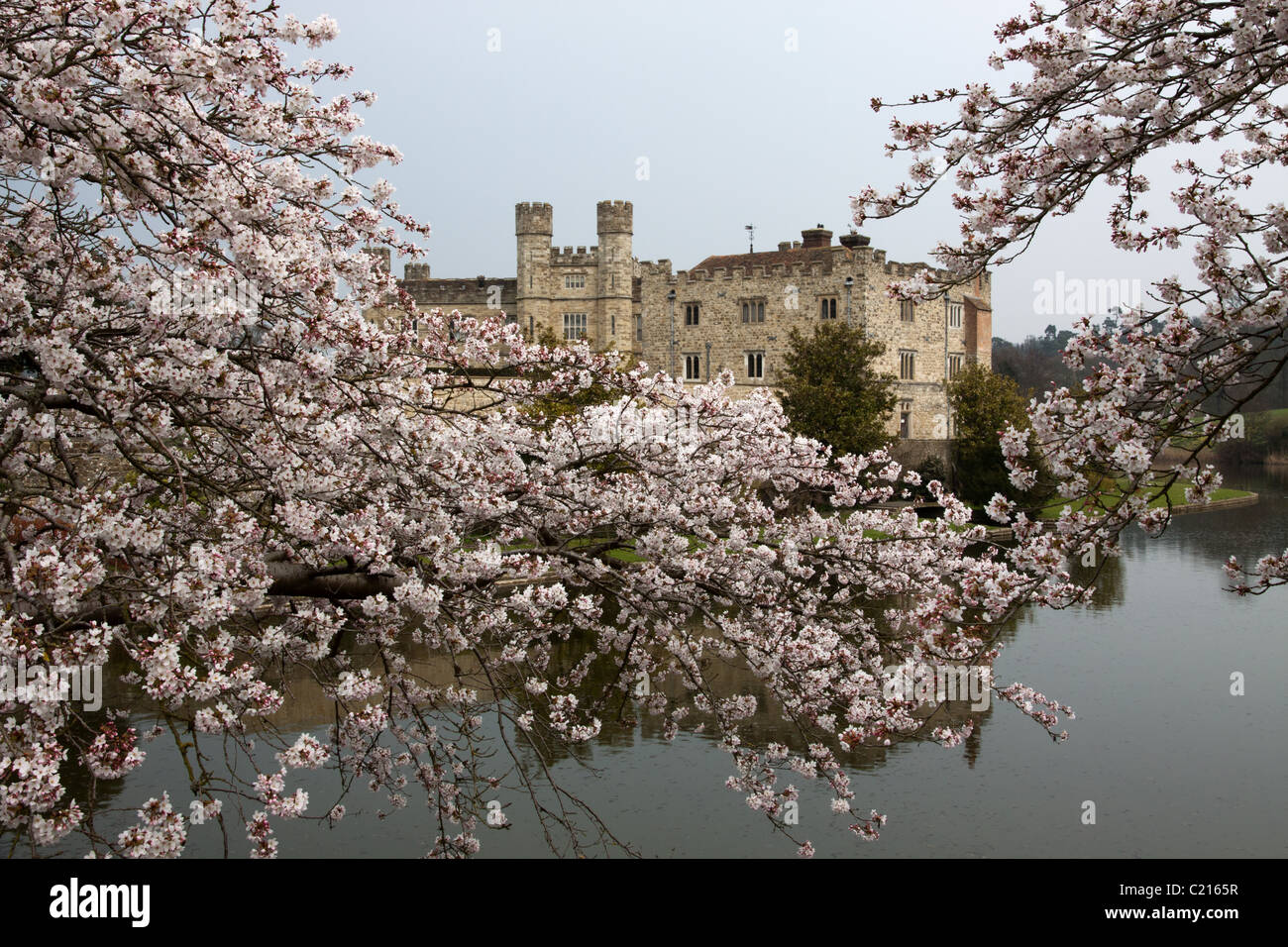 Leeds castle kent blossom hi-res stock photography and images - Alamy