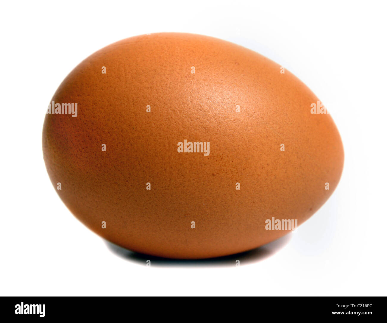egg horizontal isolated on white background Stock Photo - Alamy