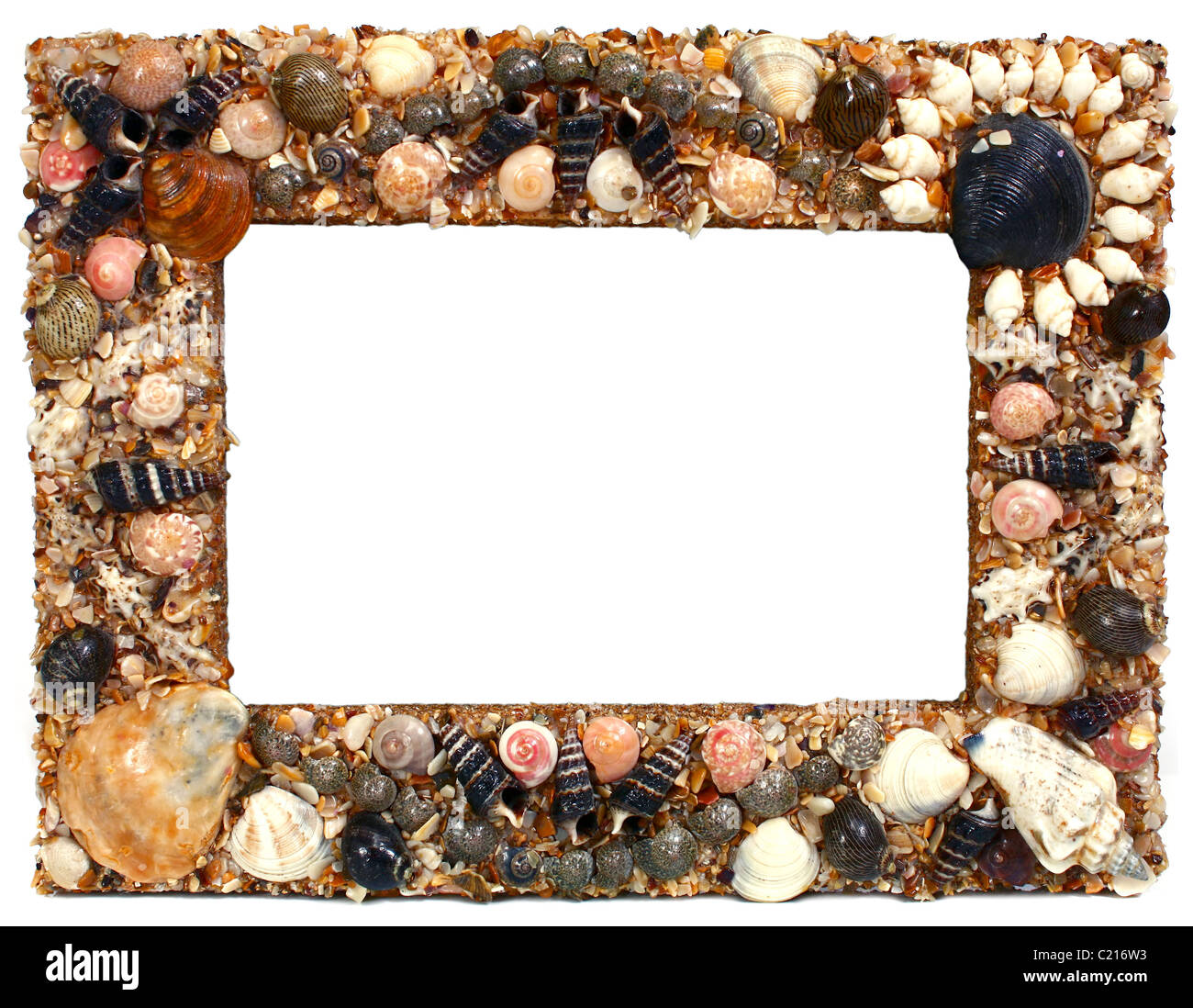 frame for photo from marine cockleshells isolated on white background ...