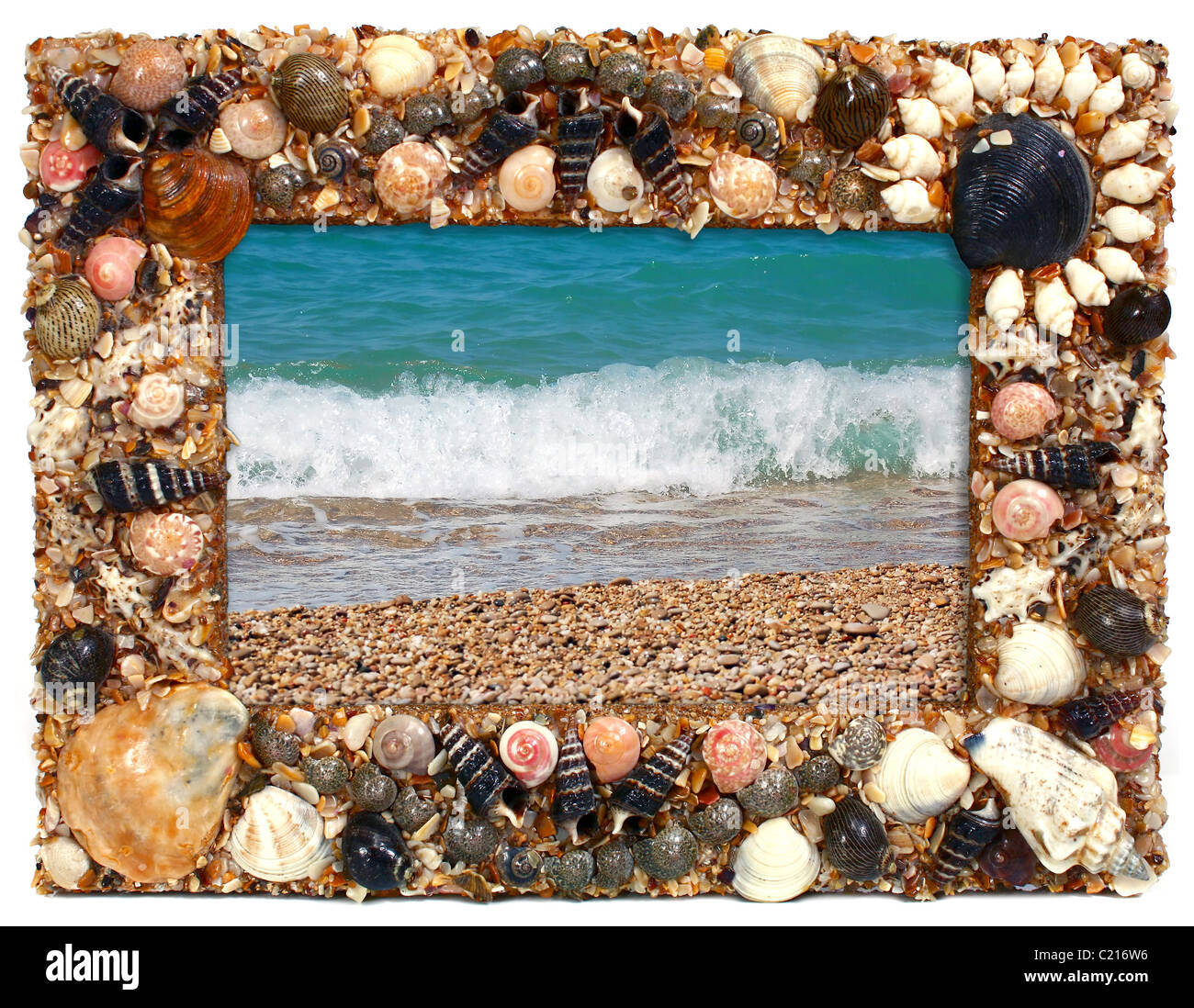frame from marine cockleshells with the image of sea isolated on white ...