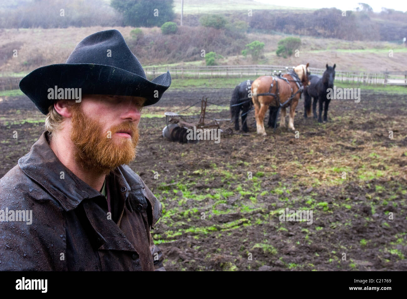 Farmworker or Cowboy working fields old fashioned way Stock Photo - Alamy