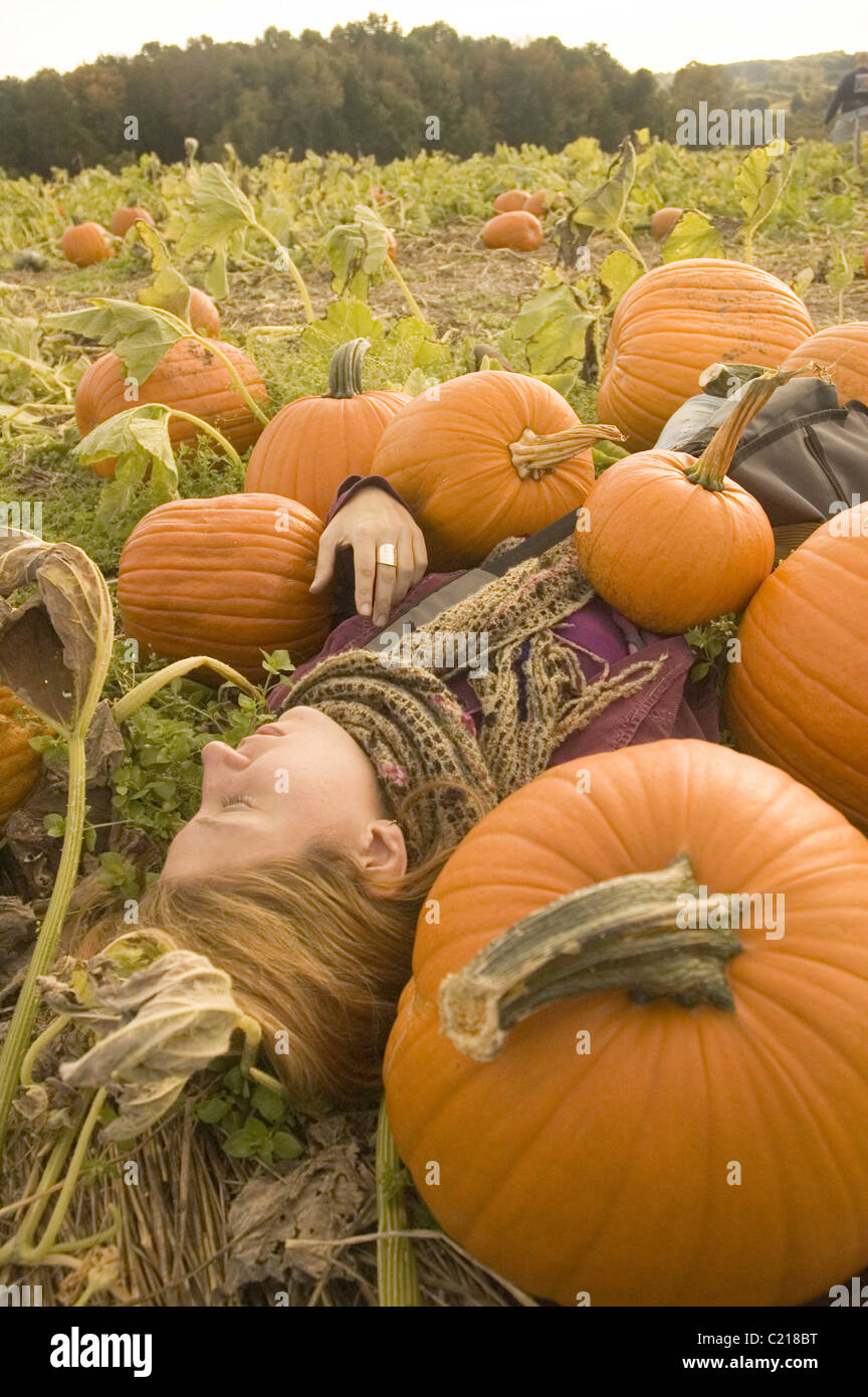 Sleeping pumpkin hi-res stock photography and images - Alamy