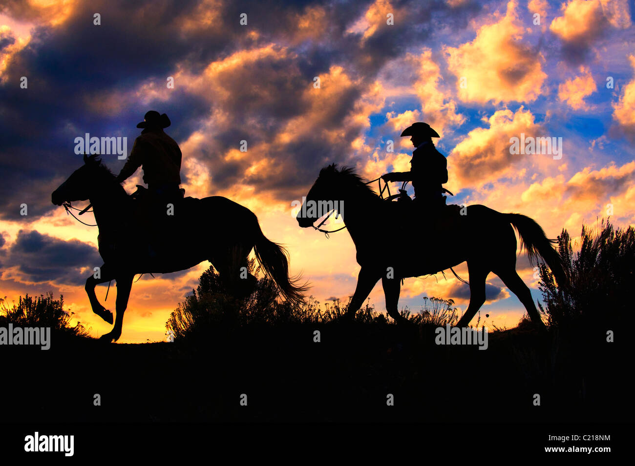 Riding horses at sunset hi-res stock photography and images - Alamy