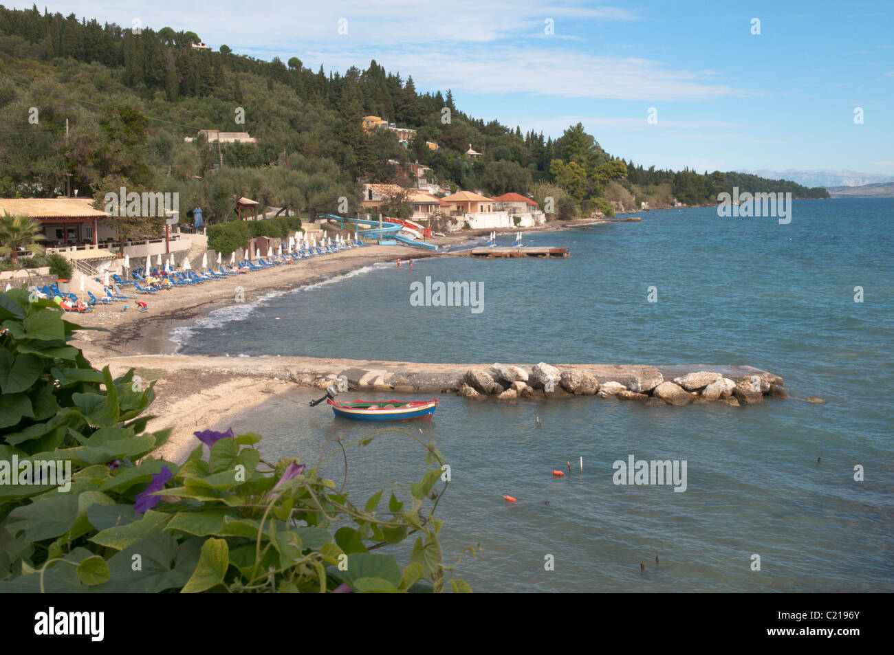 October glory trees hi-res stock photography and images - Alamy