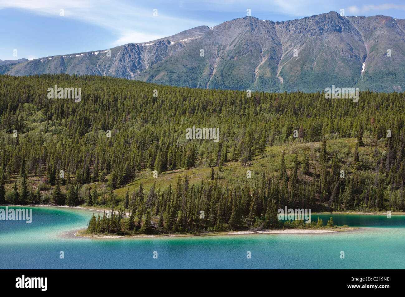 Mountain, forest and Emerald Lake along the Klondike Highway near ...