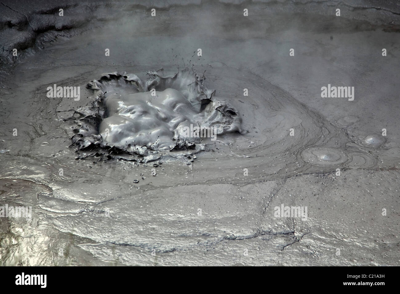 sulfur spring in Roturoa New Zealand Stock Photo - Alamy