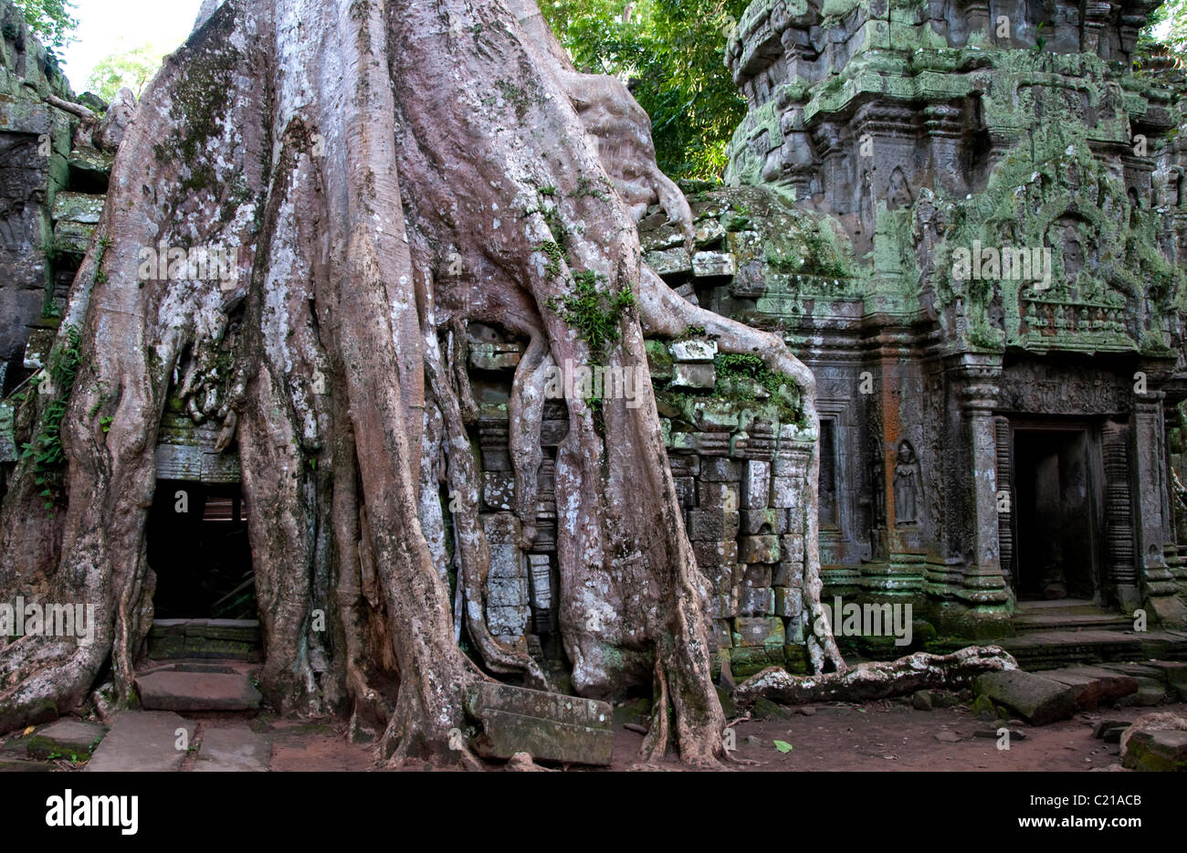 Historical cultural roots hi-res stock photography and images - Alamy